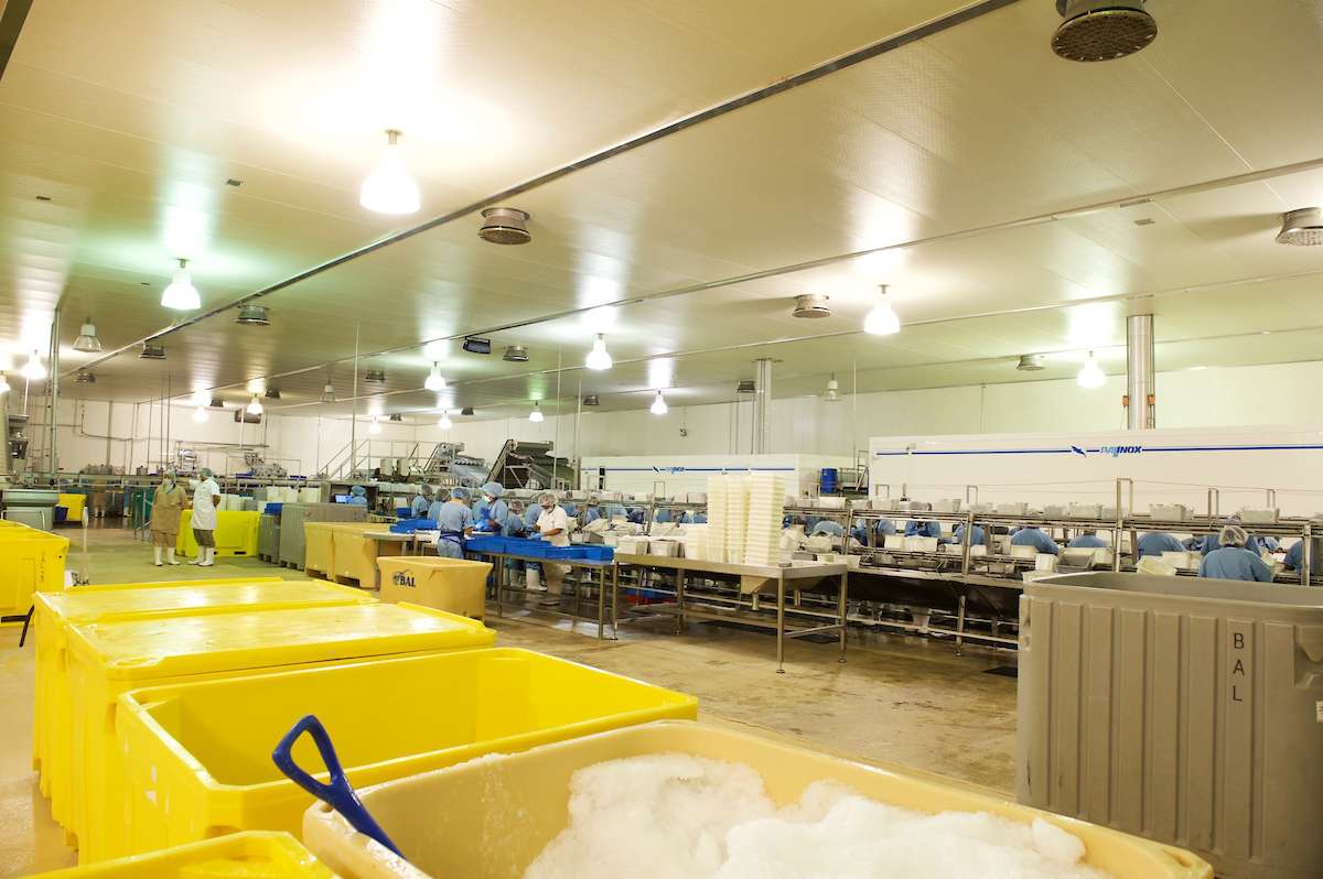 Manufacturing - Belize Chamber of Commerce and Industry