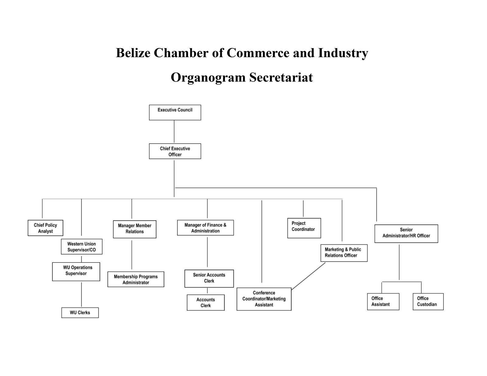 Testimonials - Belize Chamber of Commerce and Industry