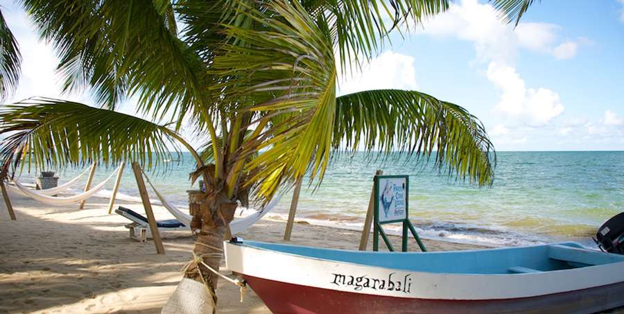 Services - Belize Chamber of Commerce and Industry